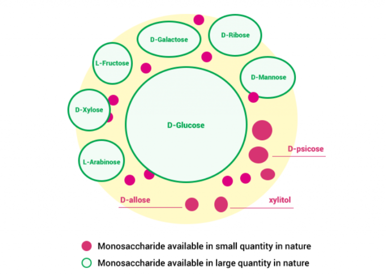 Matsutani Rare Sugar Syrup | Kouei Japan Trading | Get Quotation