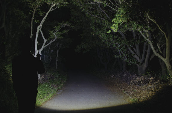 Gentos REXEED Series RX-032D Flashlight (370 lumens) | Kouei Japan Trading | Get Quotation