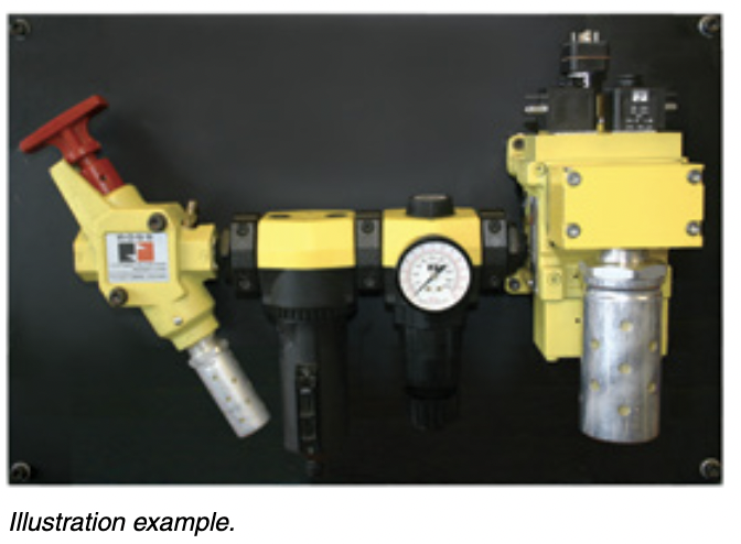 Ross Asia Safety Air Entry Assembly with DMC Series Safety Exhaust ...