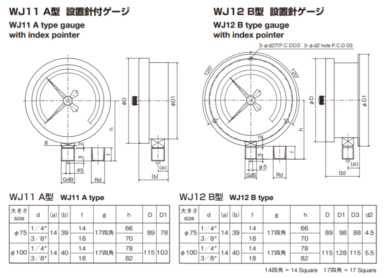 Daitoukeiki WJ11A type guage WJ Simplified Outdoor Guages